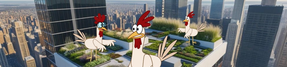 About Chickens