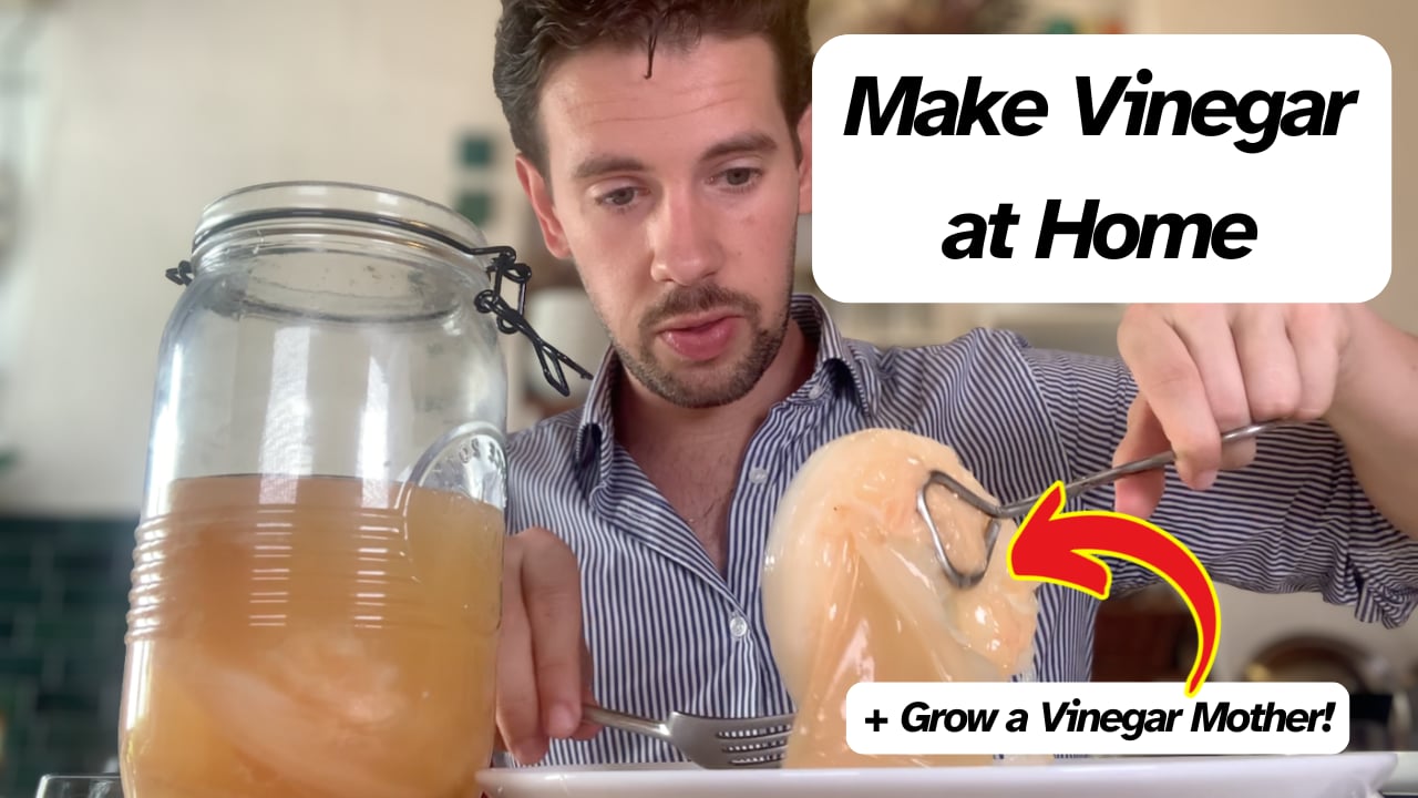 How to Make Vinegar at Home (and Grow a Vinegar Mother) | Cress Dietetics