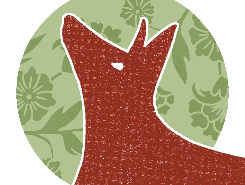 Home | Tall Fox Designs