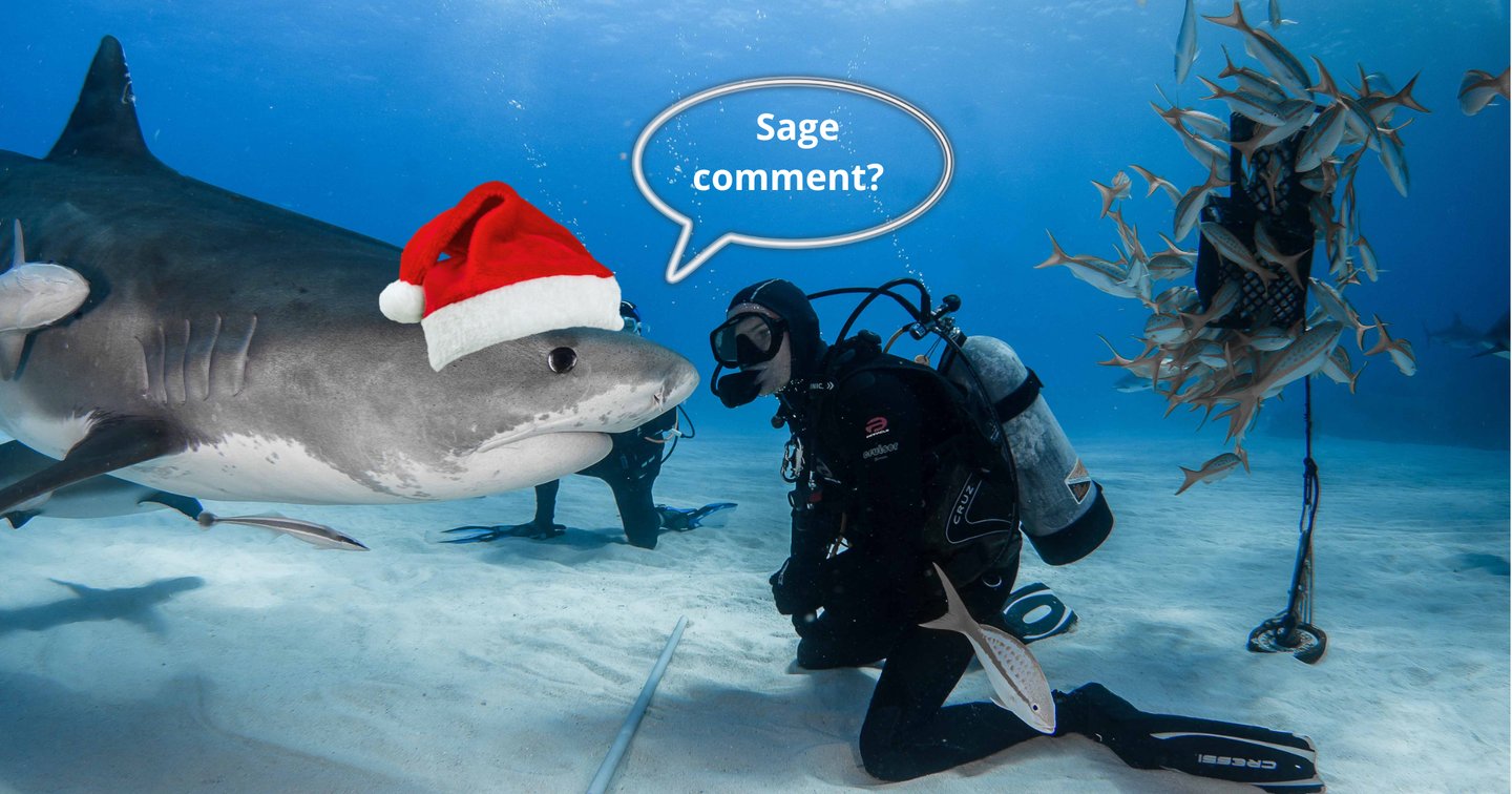 Joyeux Noël avec le Shark Education Club et nos amis ailerons ! | Shark ...