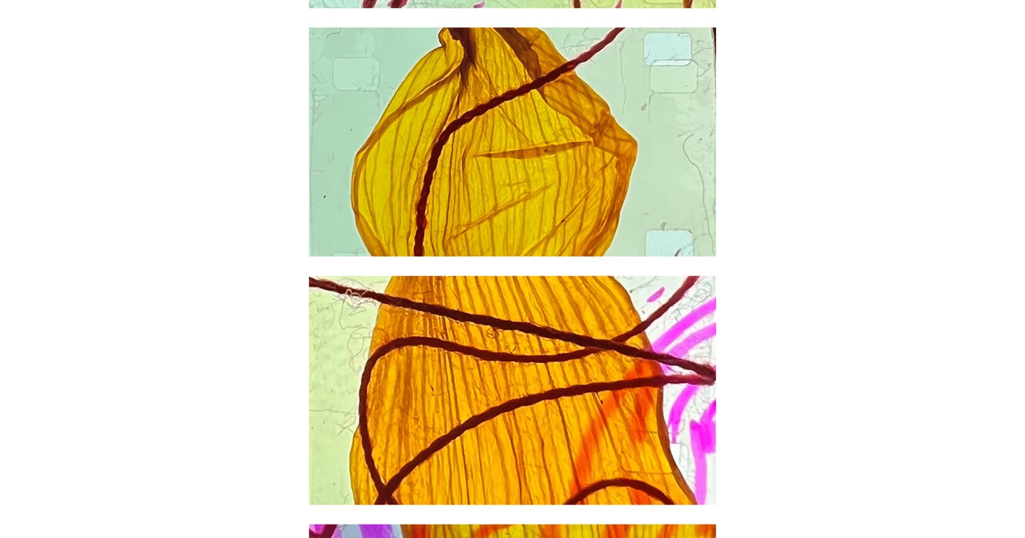Fatima Tahir - Design Portfolio | Fatima Tahir