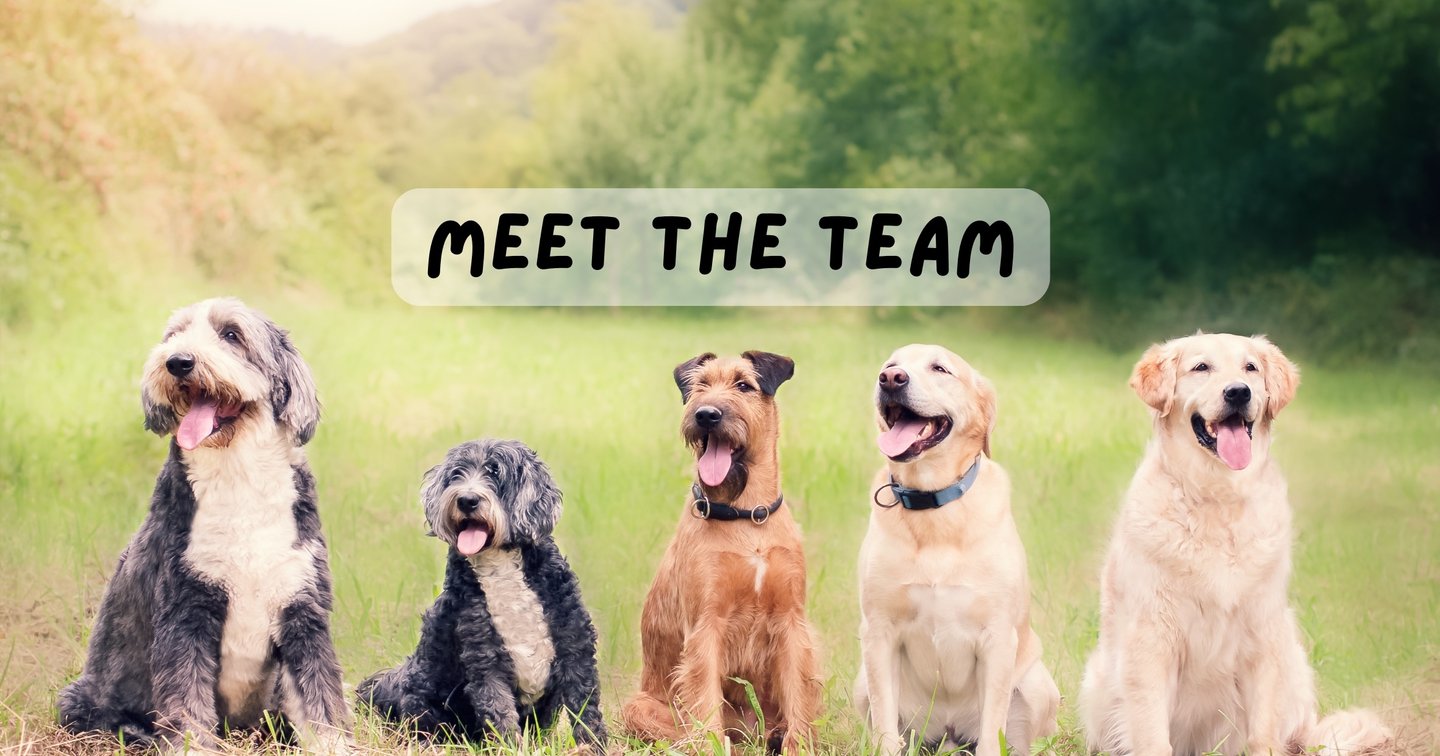 Parker's Pawsitive Pups Team