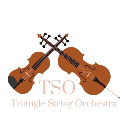 Triangle String Orchestra