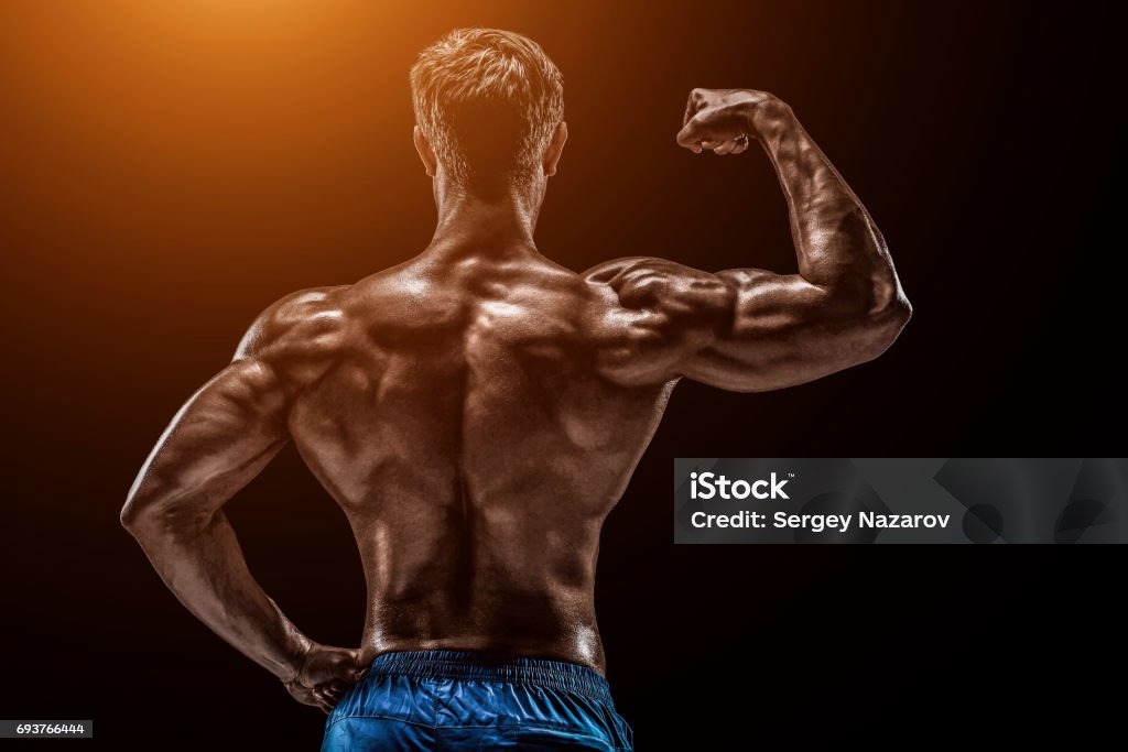 5 Hypertrophy Workouts for Beginners to Fitness | Innatefit