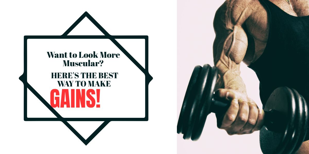 Density Training Body Composition Secrets: Transform Fat into ...