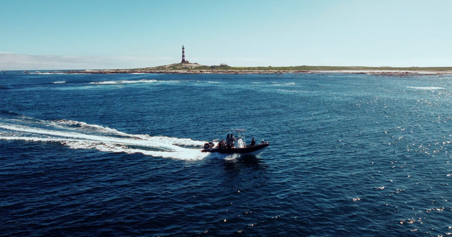 Ecotourism Boat Tours to Dassen Island | Yzerfontein Sea Sport