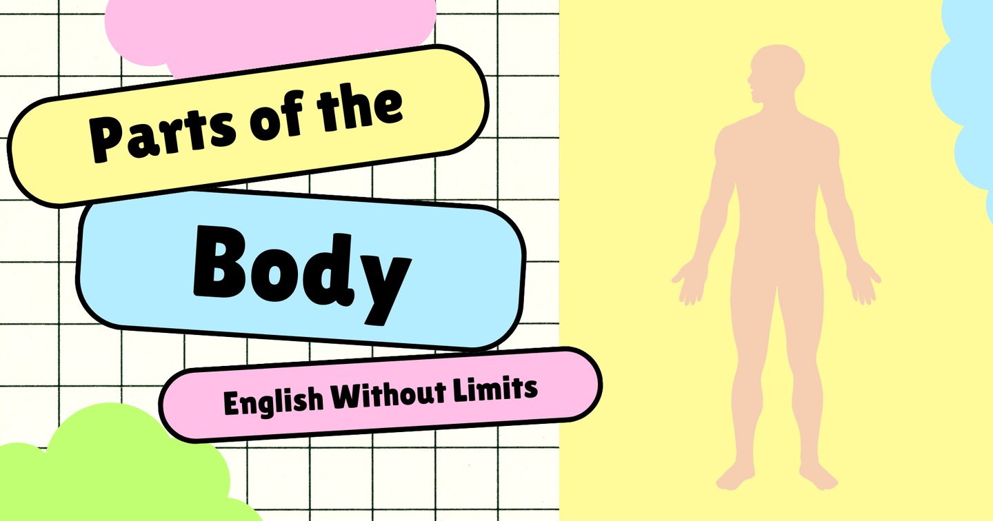 Parts of the Body | English without limits
