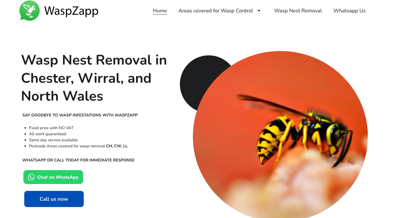 Wasp Removal | Wasp Nest Removal & Control | Chester | WaspZapp