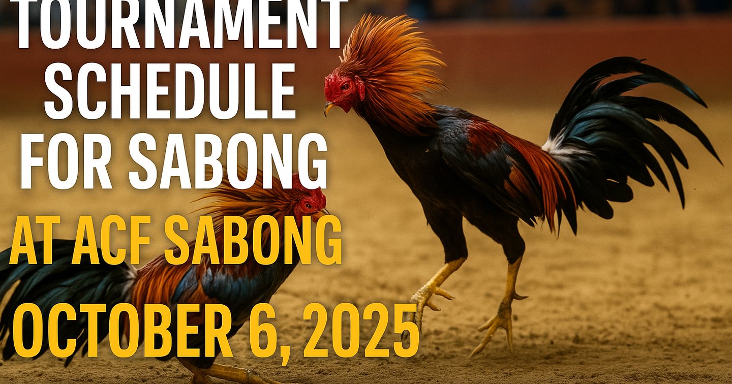 Get Ready for the Ultimate Clash: Official Tournament Schedule for ...