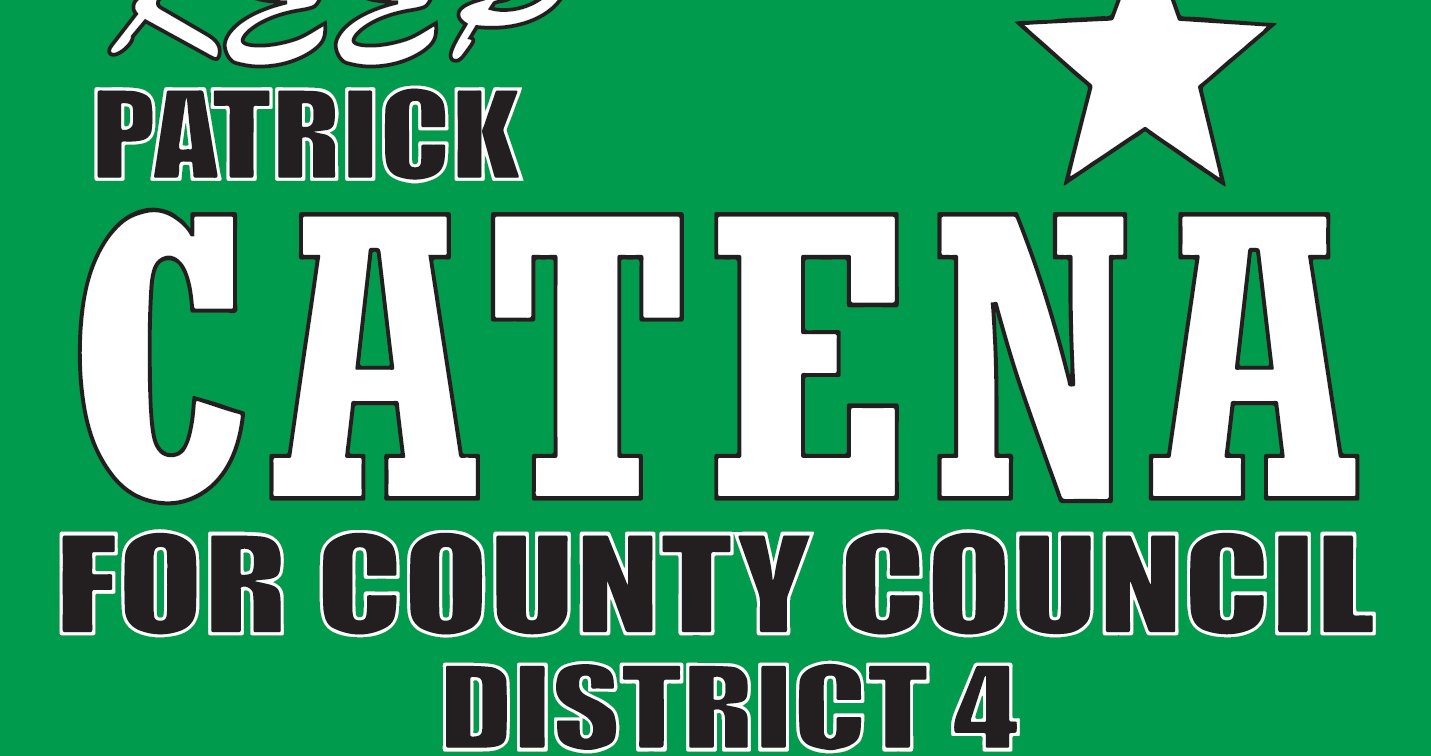 President, Councilman Pat Catena Allegheny County District 4 ...