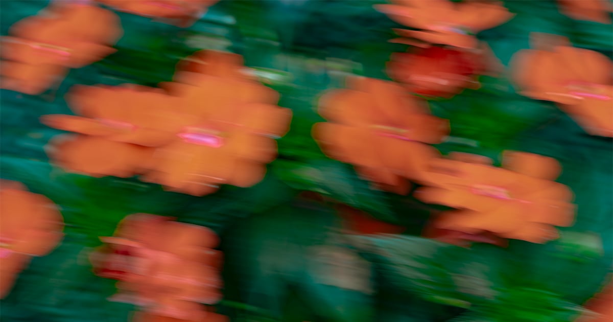 Mélina Rose - Photographe Indépendante à Lyon | Mélina Rose photographe