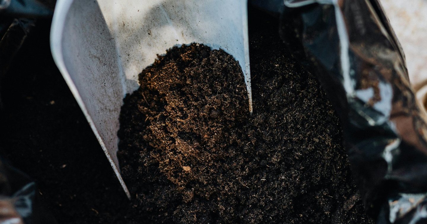 How To Sterilize Soil 🪴 Every Sterilization Method