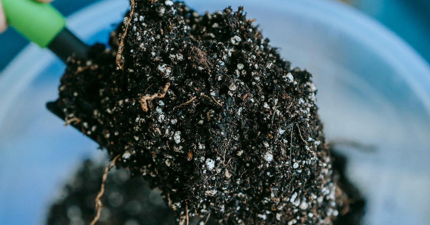 Ultimate Aroid Soil Recipe 🪴 How To Make Your Own DIY Aroid Soil Mix