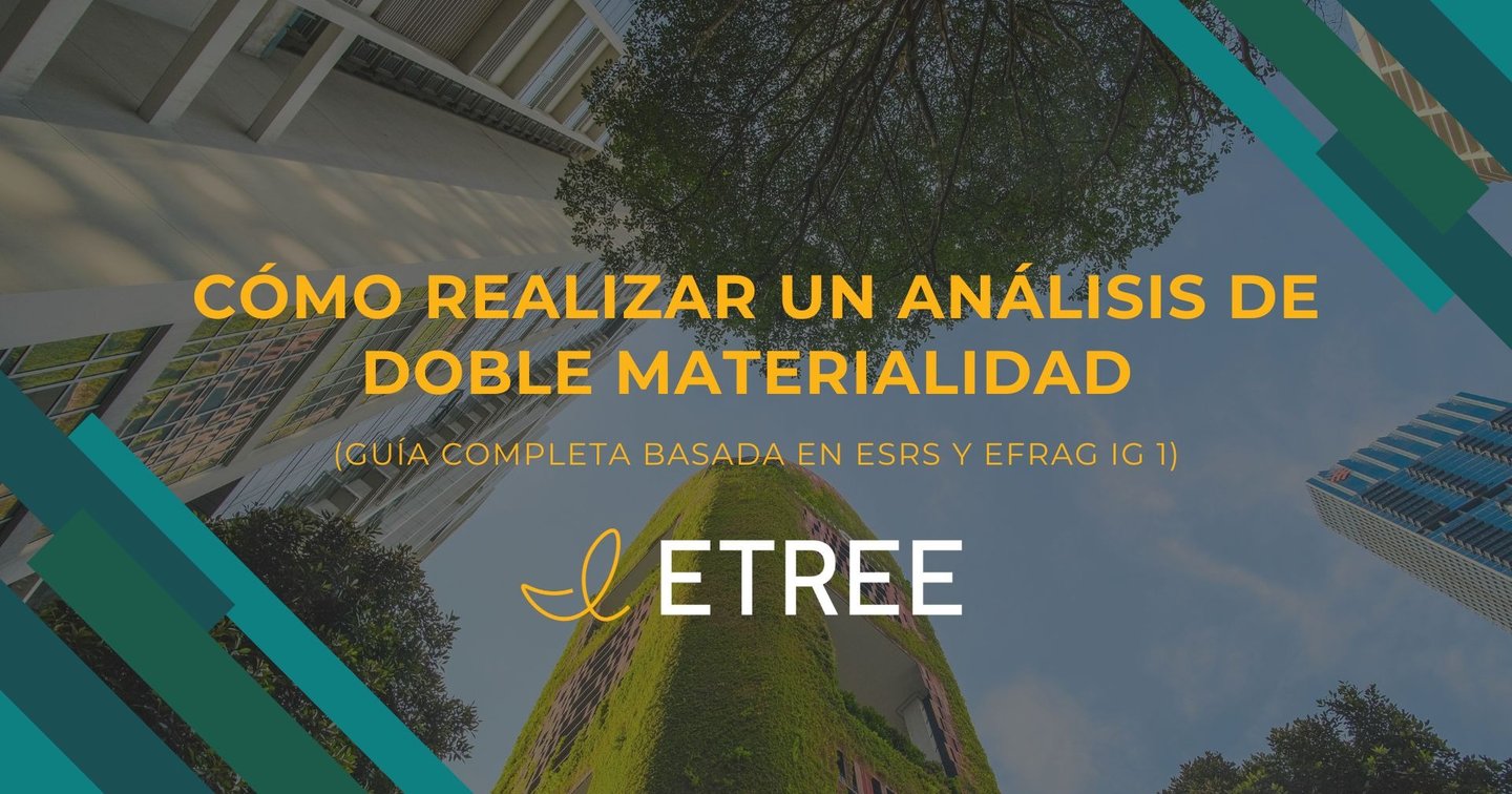 Cómo Realizar un Análisis de Doble Materialidad (Guía Completa Basada ...