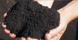 Export Leonardite from Ukraine | Biorex LLC