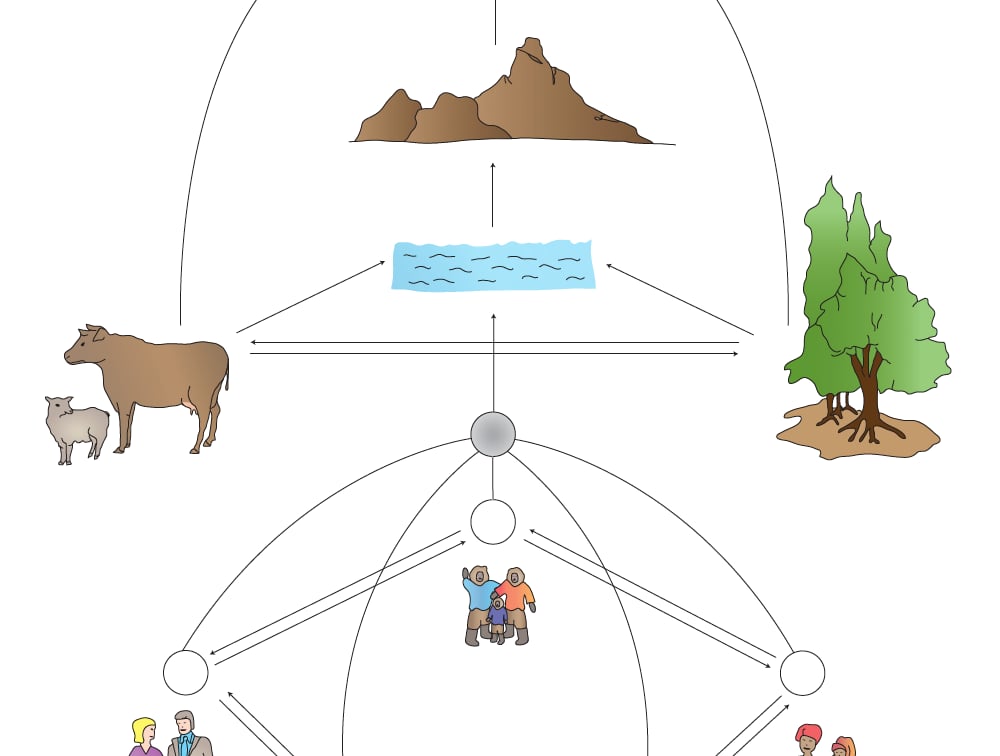 The Great Web of Life 🌍The Chart of Interdependency | Montessori Assistant