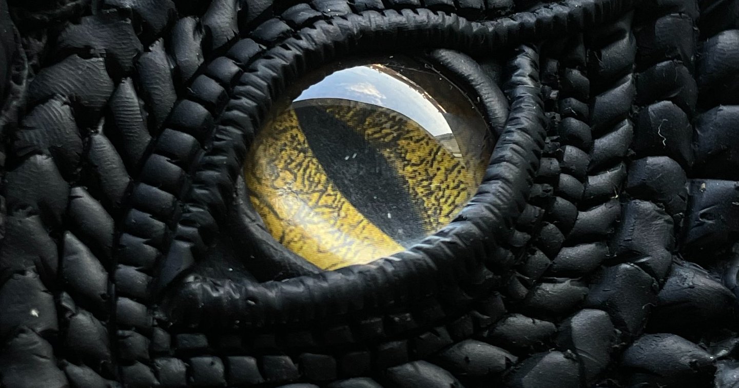 The Dragon Ward | Handcrafted Dragon Gifts & Magical Artifacts | The ...