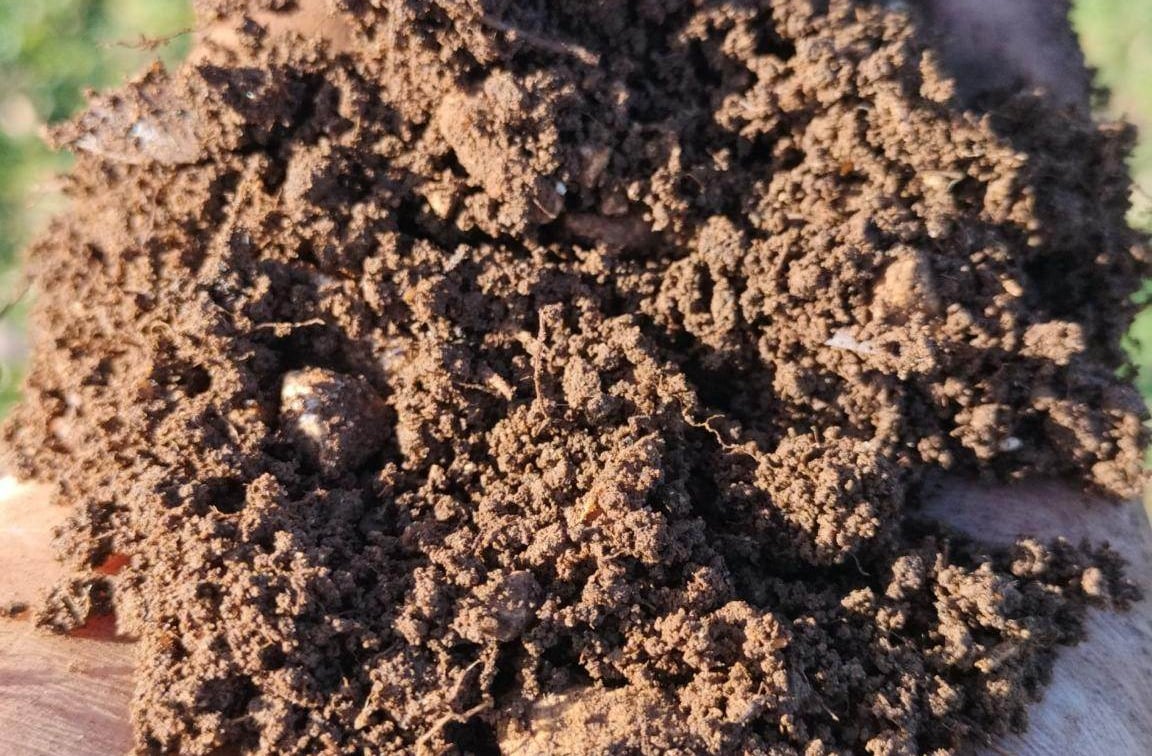 Le Complexe Argilo-Humique : Un Pilier de la Fertilité des Sols | La ...