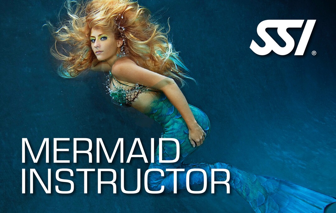 Dive into the Magical World of Mermaids with SSI Mermaid Certification ...