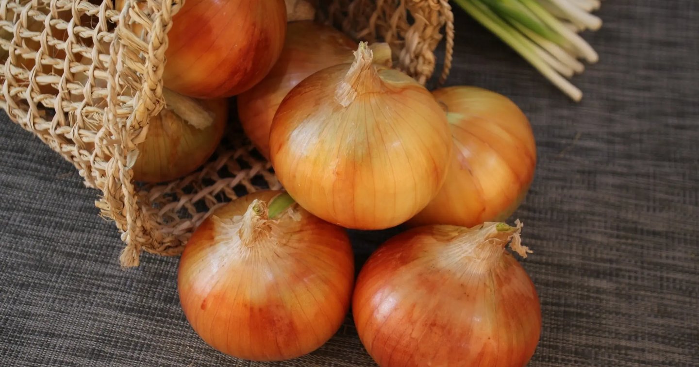 Les oignons : Douceur et saveur. | Potager