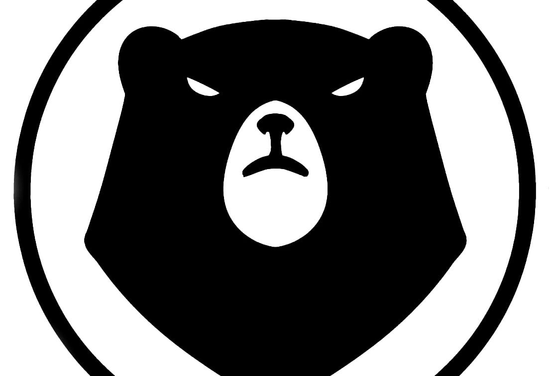 cours de jiu jitsu brésilien | STRONGBEAR BJJ