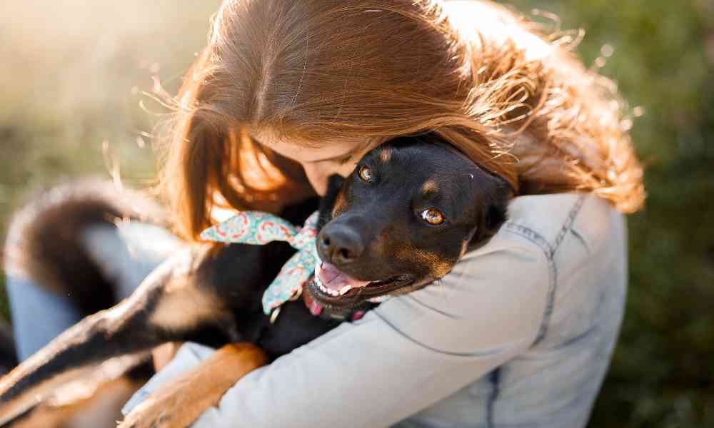 Anjing Tidak Suka Dipeluk: Mengapa dan Bagaimana Cara Menunjukkan Kasih ...