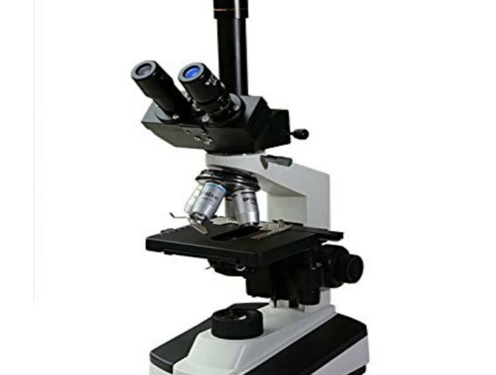 Microscopes including Adult Binocular and Light microscope | MAYALAB