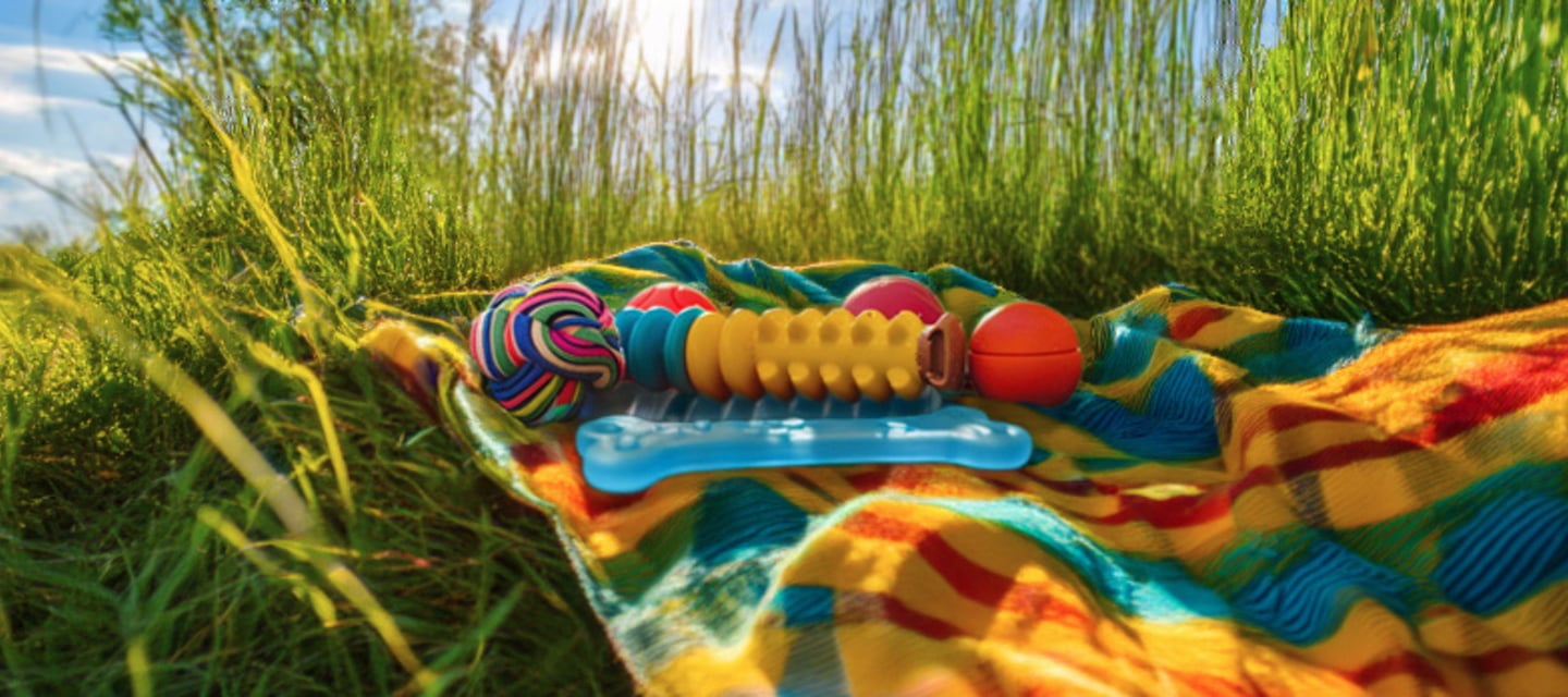 Toys & Treats | Pup-World