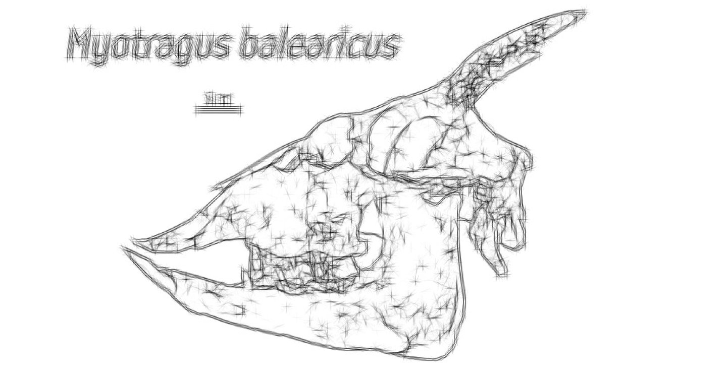 El Myotragus Balearicus: Historia, Características y su Renacer en el ...