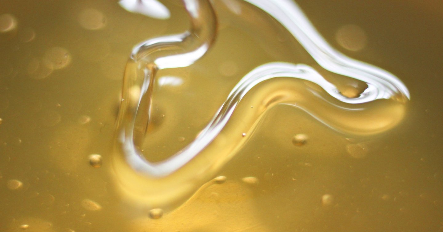 Wie lagerst du unseren Honig richtig? | Honigmacher Simon Tötschinger