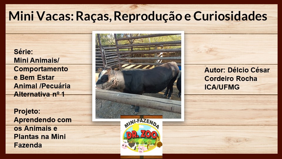 Mini Vacas: Raças, Reprodução e Curiosidades