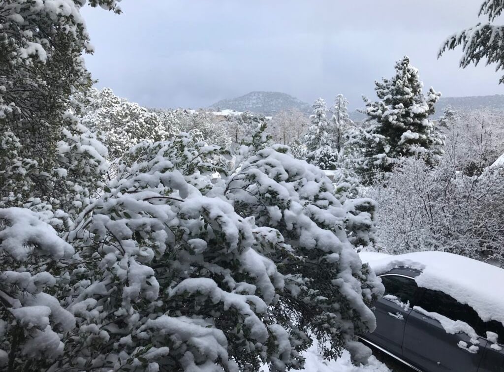 Top 5 Ways to Find Water in the Wilderness (Even When It Seems ...