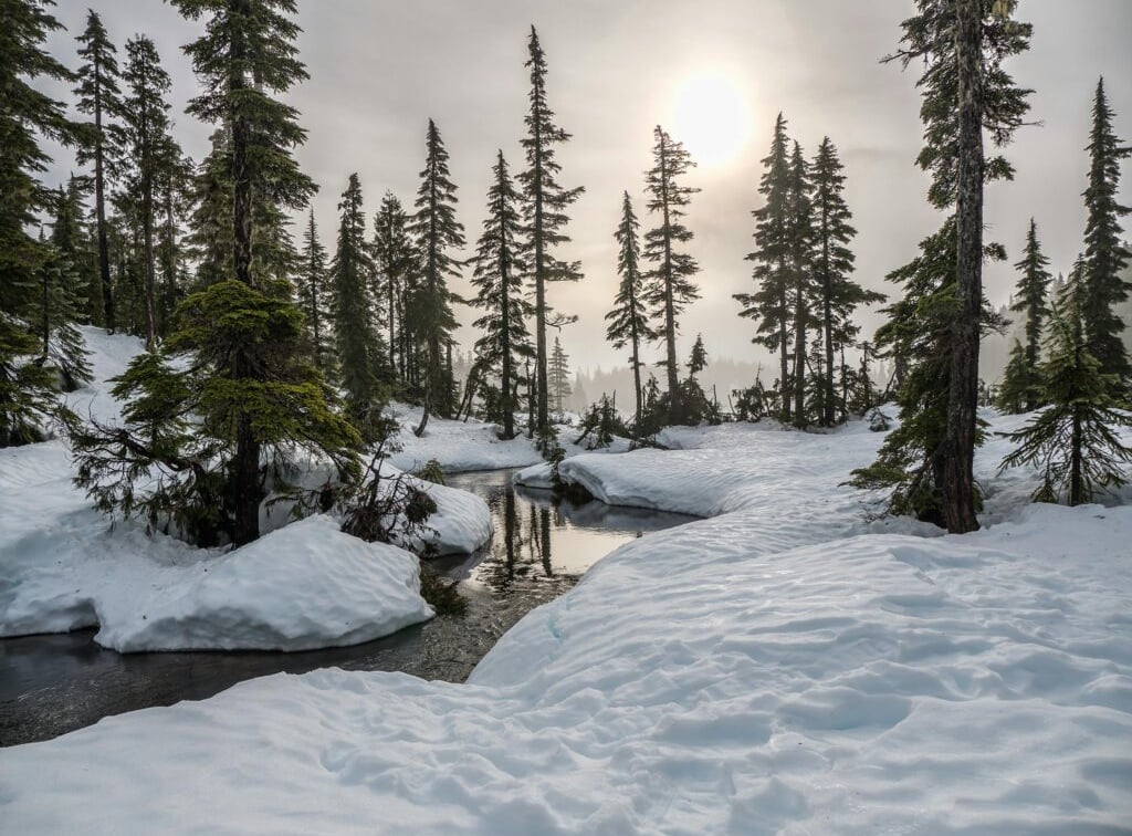 Weathering the Storm: Essential Wilderness Survival Tips for Bad ...