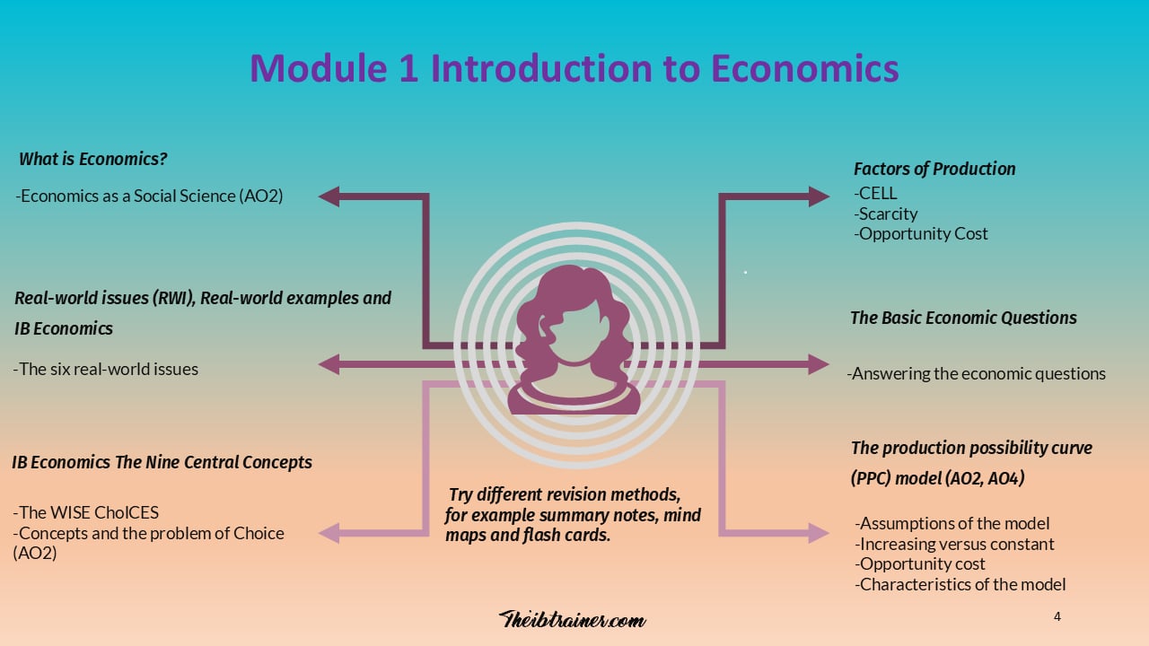 IB Economics Introduction to Economics | www.theibtrainer.com