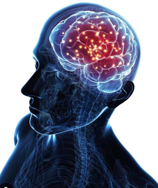 Hoe werkt een Superpatch? | Neuro Vision