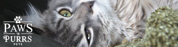 Paws 'N Purrs Pets | Pet Gift Shop for Cat & Dog Lovers | Paws N Purrs Pets