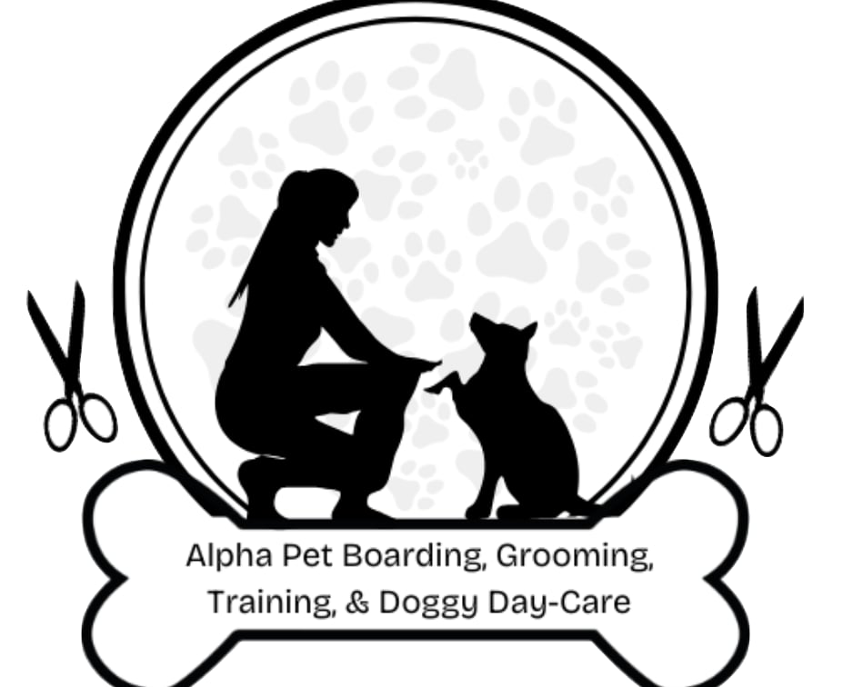 Alpha Pet Boarding: Exceptional Care for Your Pets | Alpha Pet Boarding