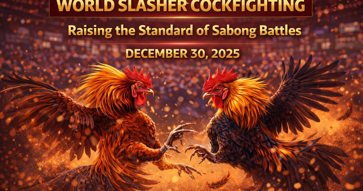 WORLD SLASHER COCKFIGHTING: Raising the Standard of Sabong Battles ...