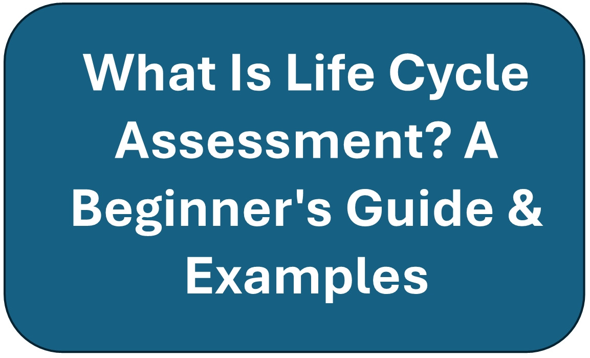 What Is Life Cycle Assessment? A Beginner's Guide & Examples | 99pt5