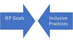 Inclusion: Writing Goals That are "Inclusion Forward" | Amy Langerman P.C.