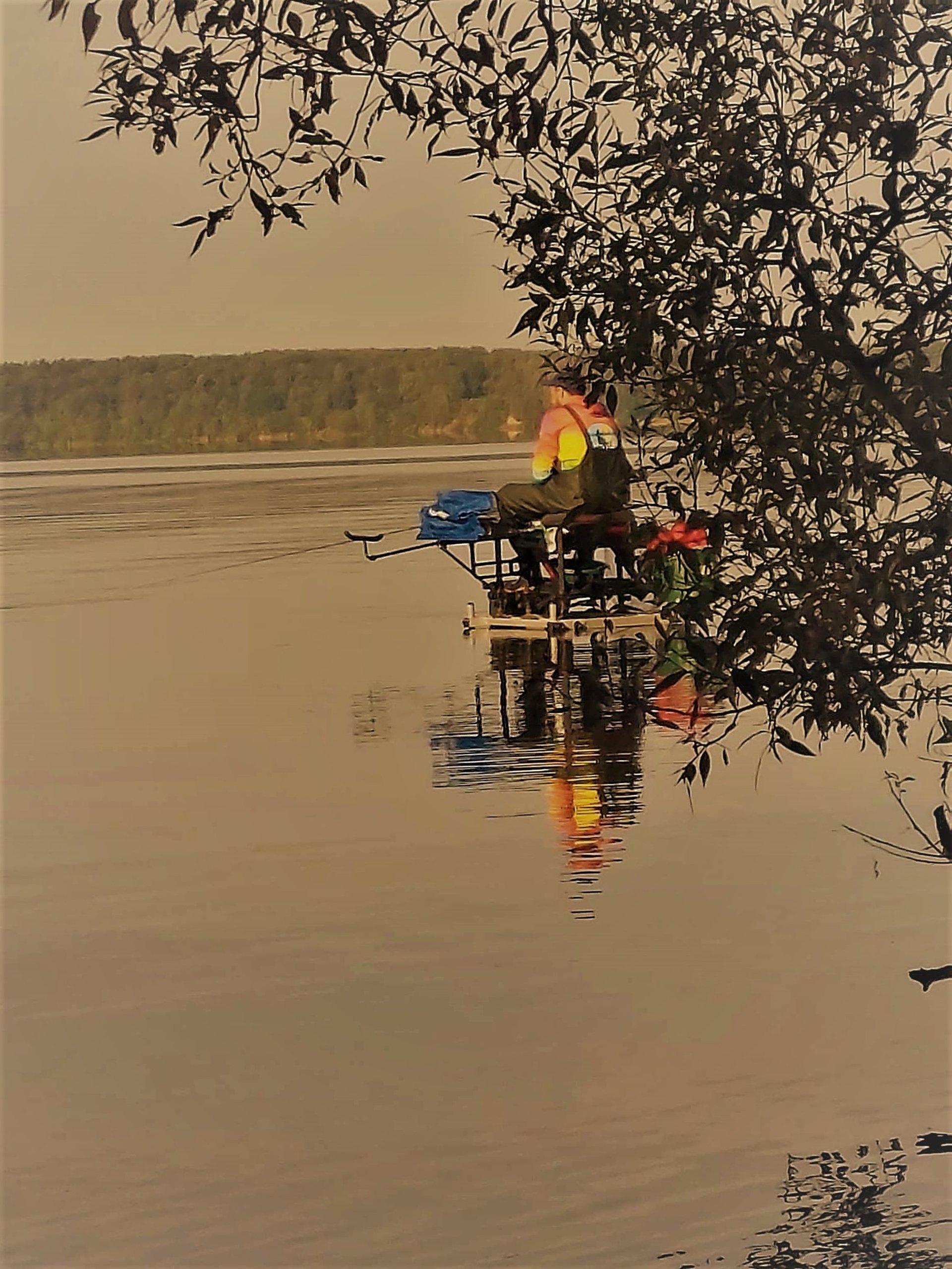 Žūklės IQ | Žvejų klubas, karšių žvejyba, žvejyba, Bream Bandits