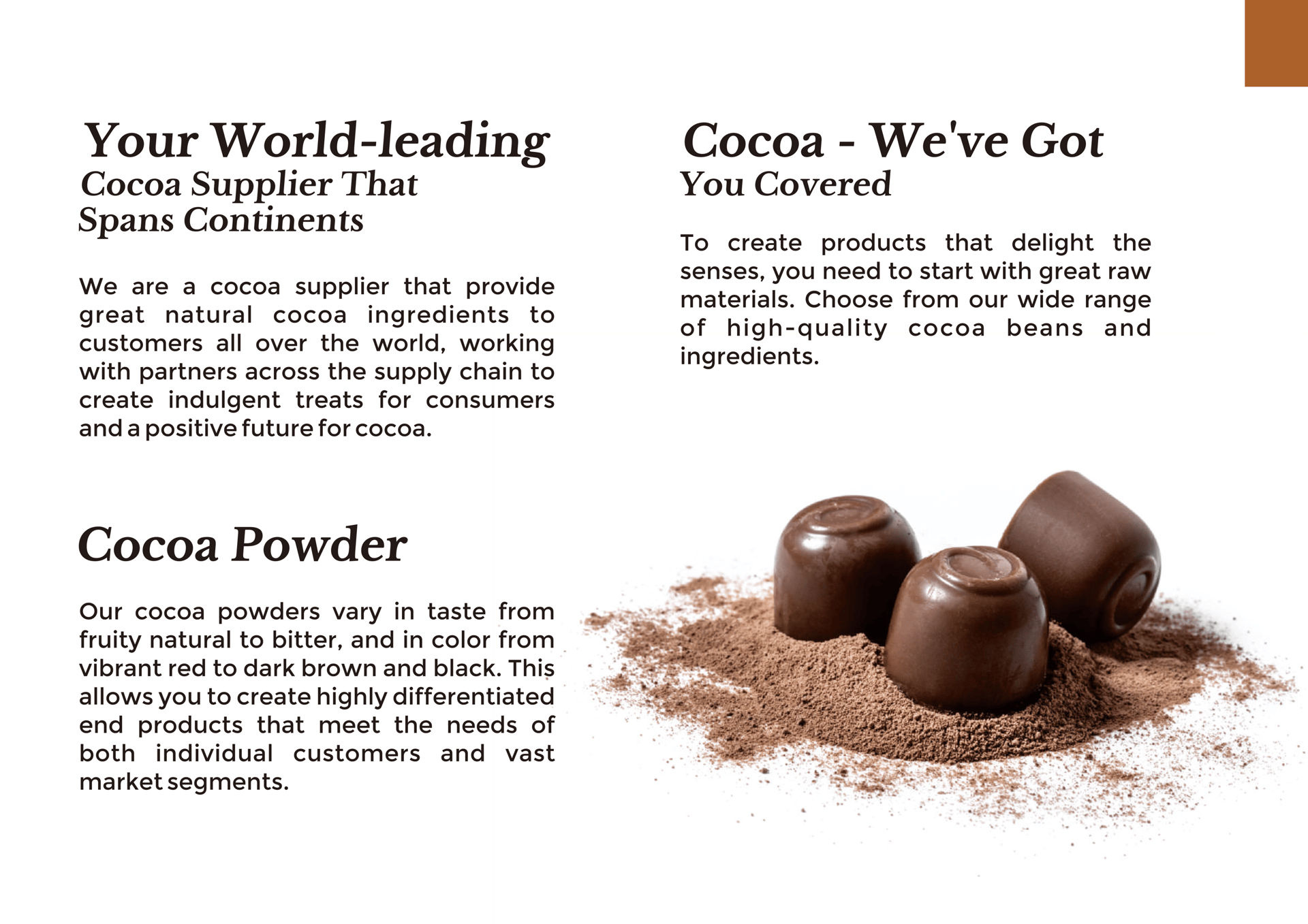 Delicocoa - Premium Cocoa Products from Indonesia | Delico Cocoa