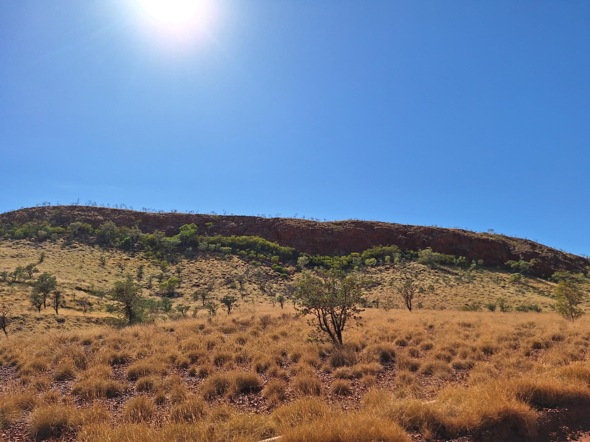 High Quality Workplace Health and Safety Services | Alchemy Safety