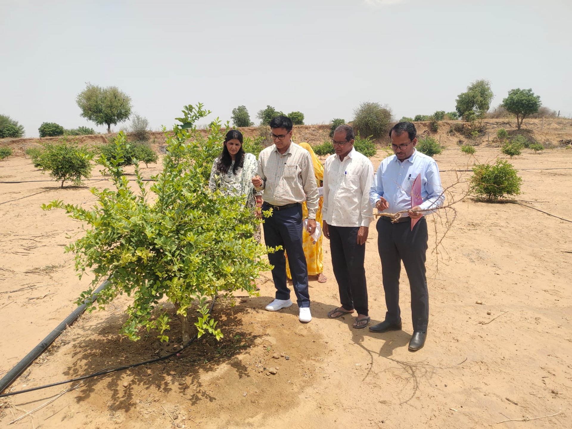 SKN College of Agriculture, Jobner | SKN College of Agriculture, Jobner