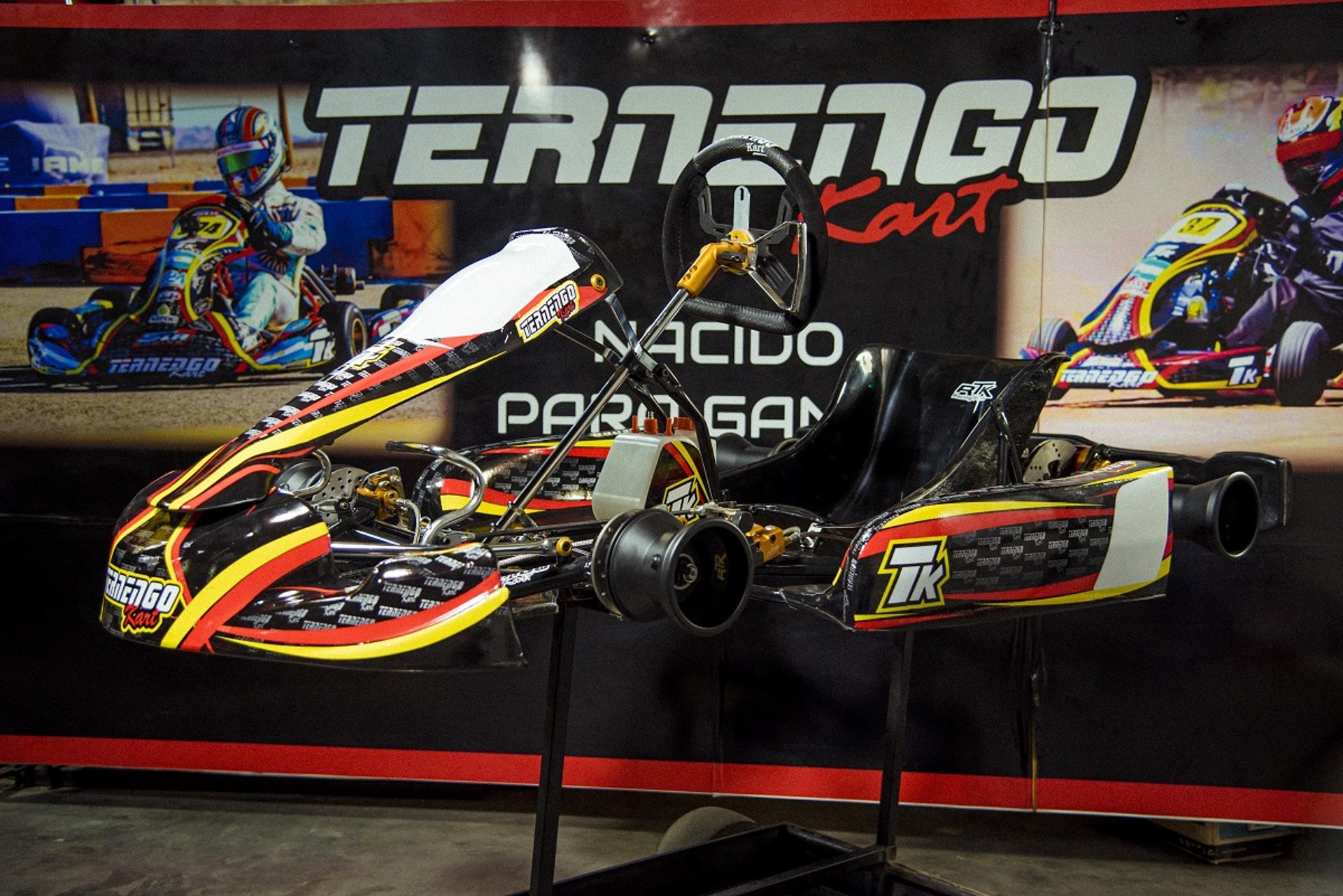 Chasis de competición y repuestos para karting | Ternengokart