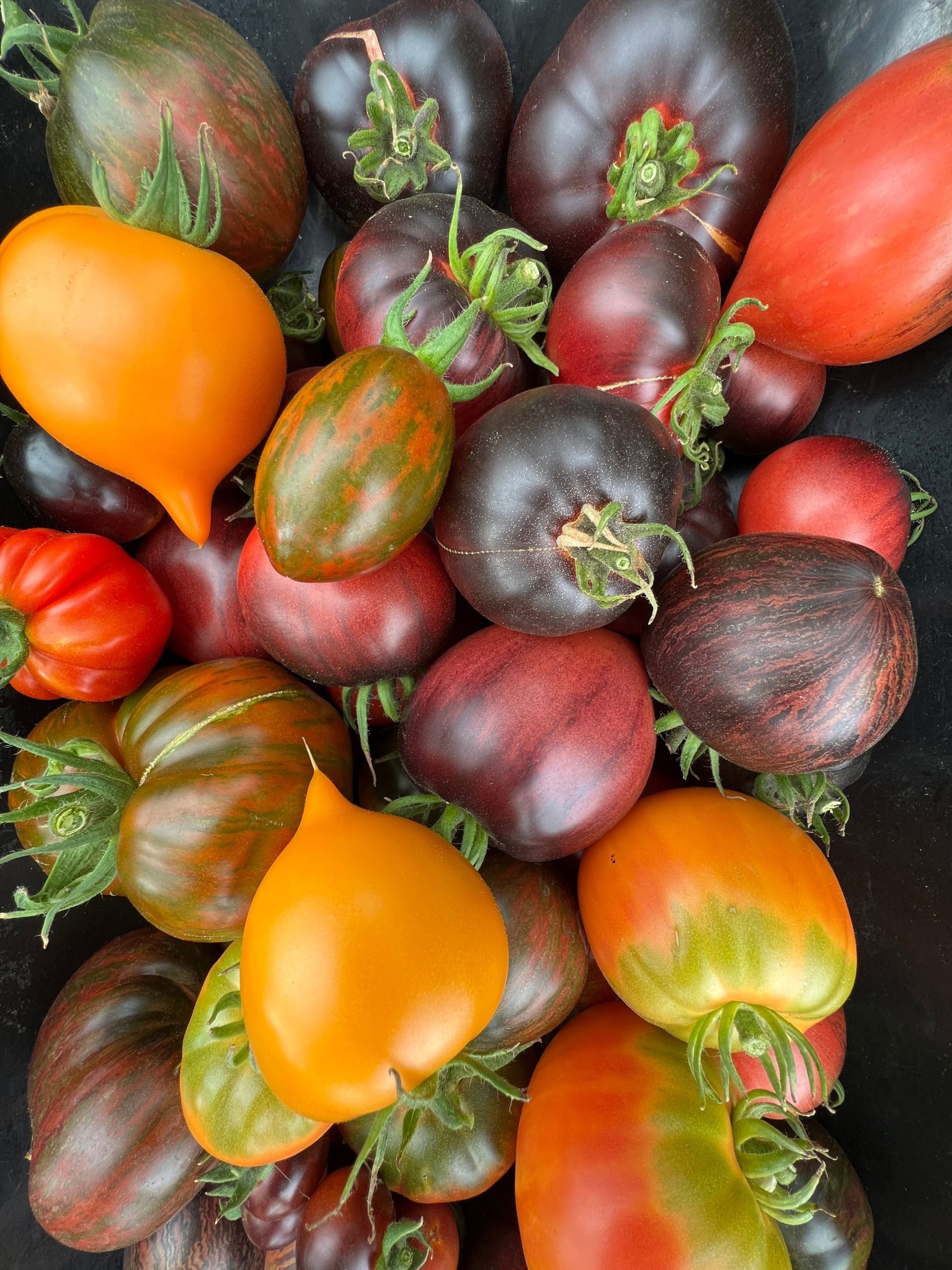 SEED ENVY HEIRLOOM VEGETABLE AND TOMATO SEEDS | SEED ENVY HEIRLOOM AND ...