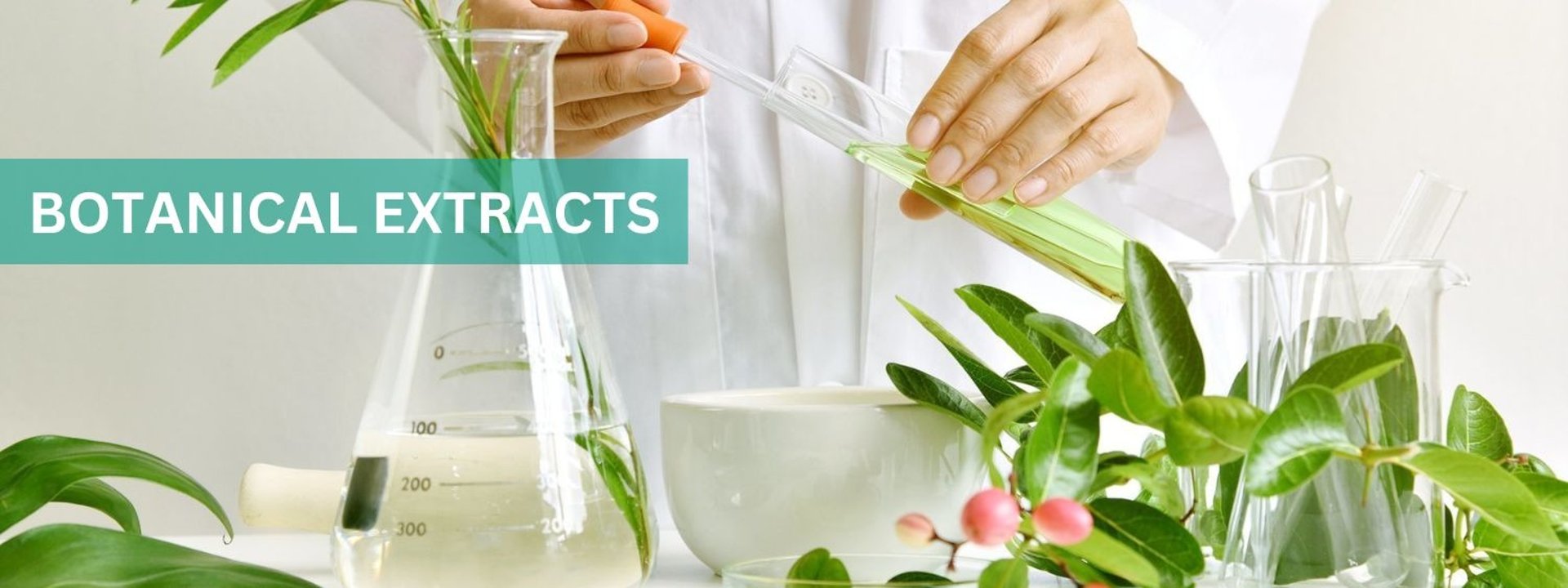 Sustainable Herbal Extracts & Natural Products Supplier | City of Pearl ...