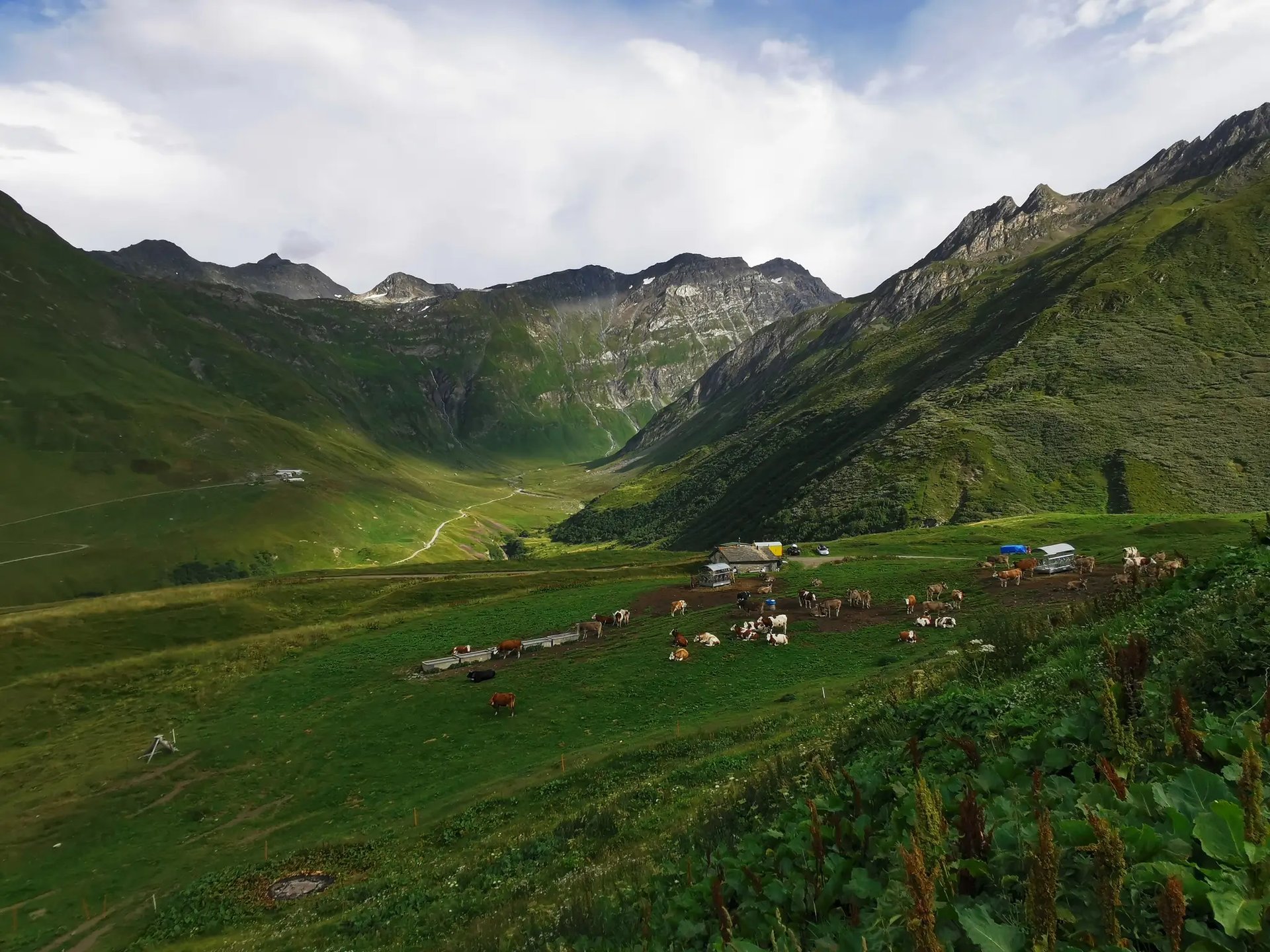 Tour du Mont Blanc - Kalnų žygis | Pasauliozygiai.lt