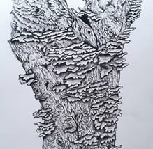 Graphite Artist - Nature Inspired Original Art | BG & ZEE