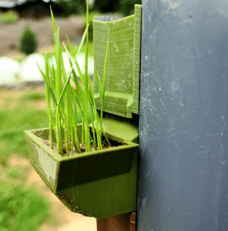 Maximizing Space with Vertical Farms and Cultivation Pipes | 180 Pipe ...